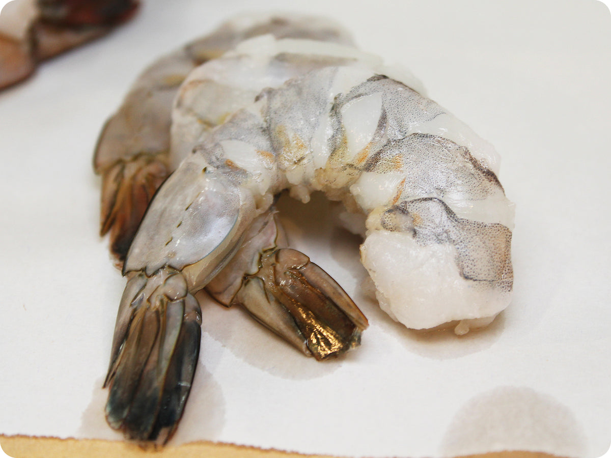 Baja Blue Prawns (XL, Wild, De-shelled) – Big Alaska Seafood