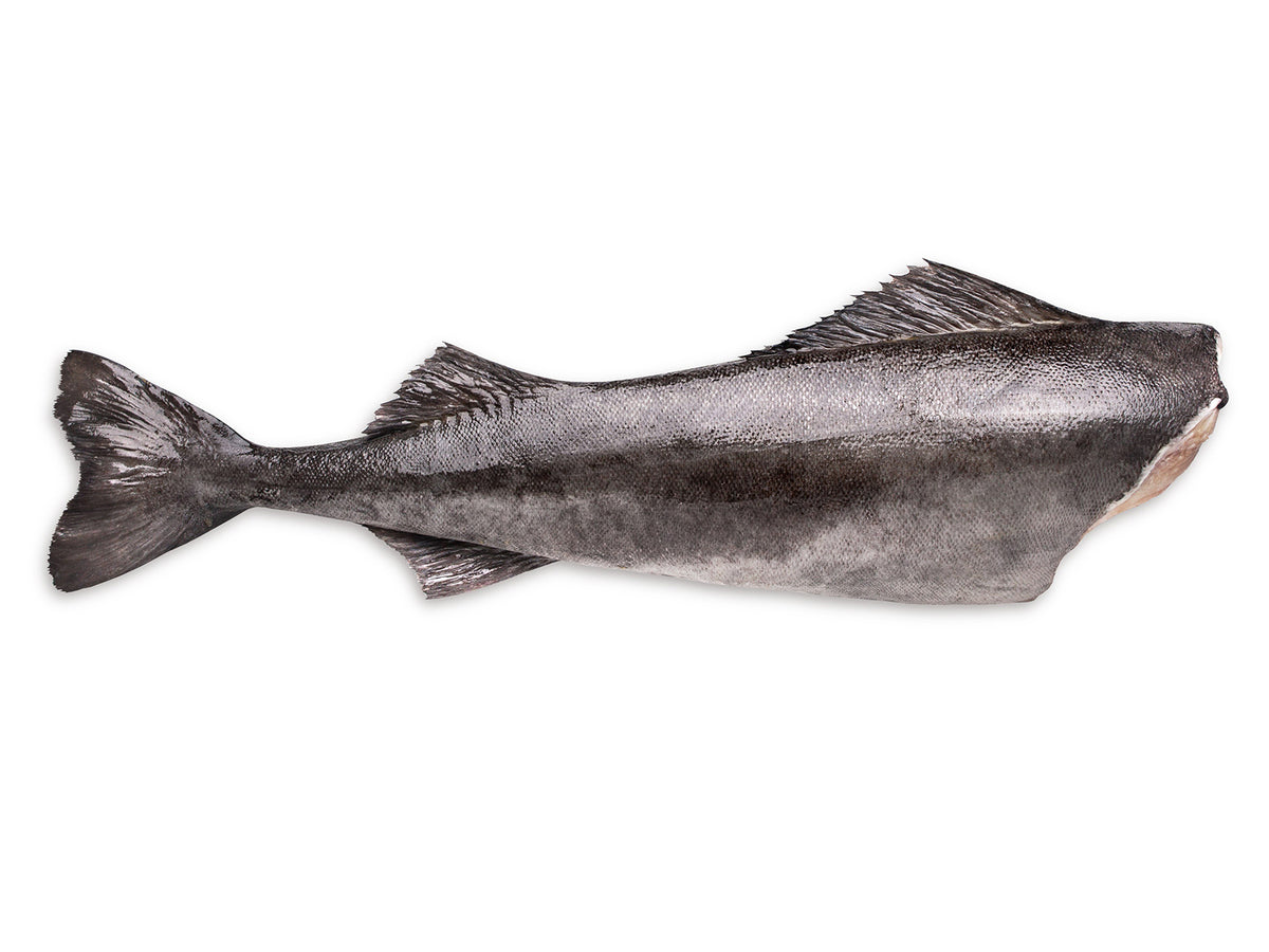 Black Cod Fillet (prev-froz, wild) – Big Alaska Seafood