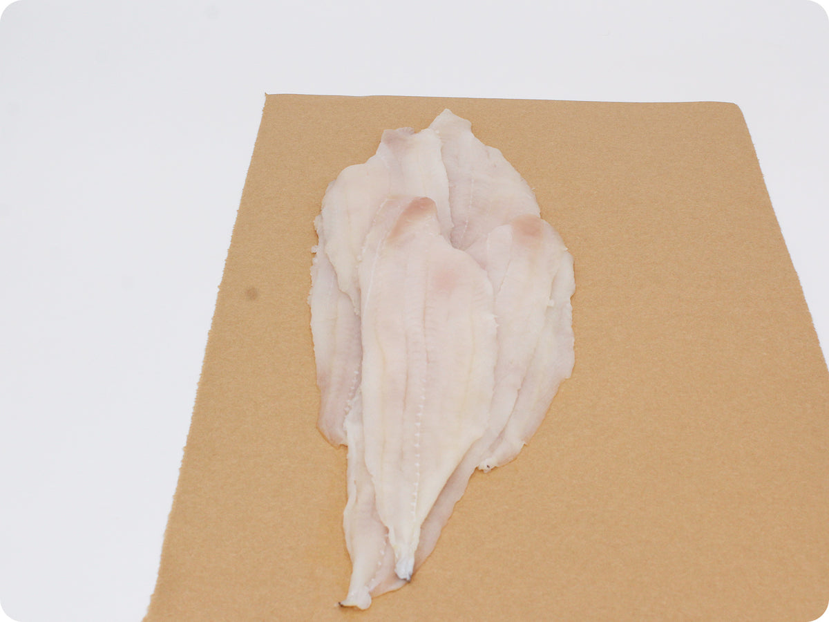 Dover Sole Fillet (fresh, wild) – Big Alaska Seafood
