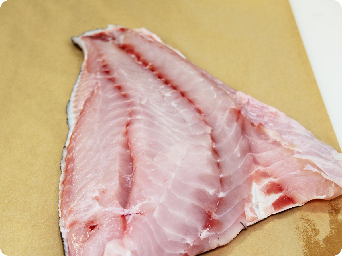 Black Grouper Fillet (fresh, wild) – Big Alaska Seafood