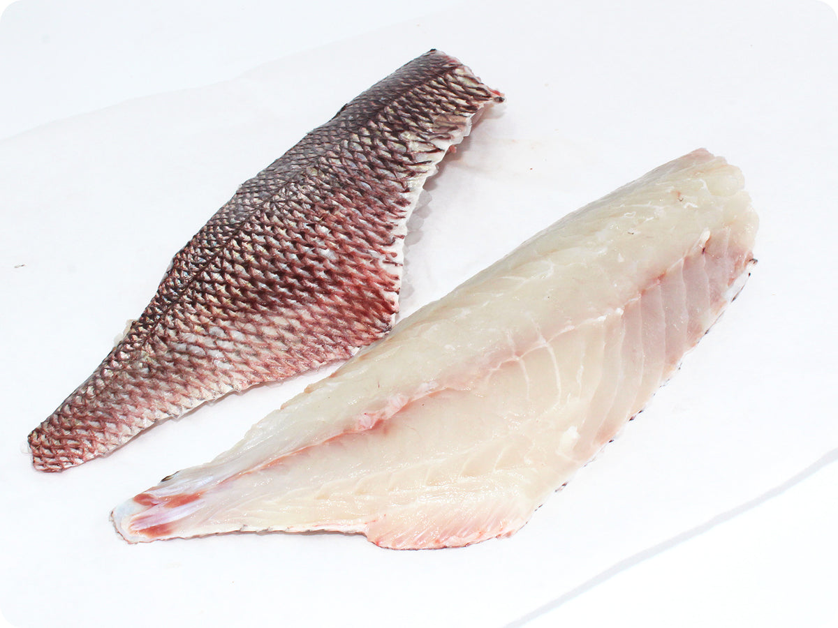 Red Snapper Fillet (FRESH, wild) – Big Alaska Seafood
