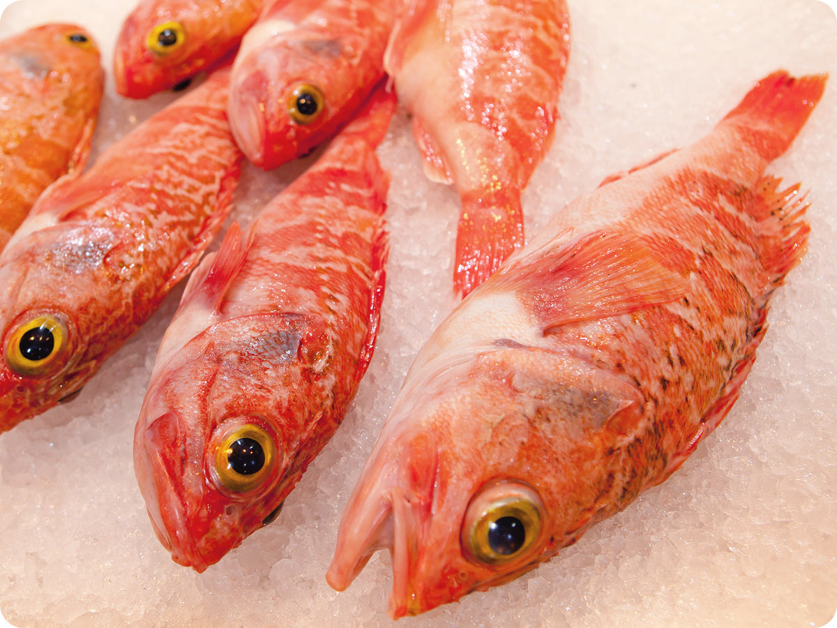 Pacific Rockfish Fillet (fresh, wild) – Big Alaska Seafood