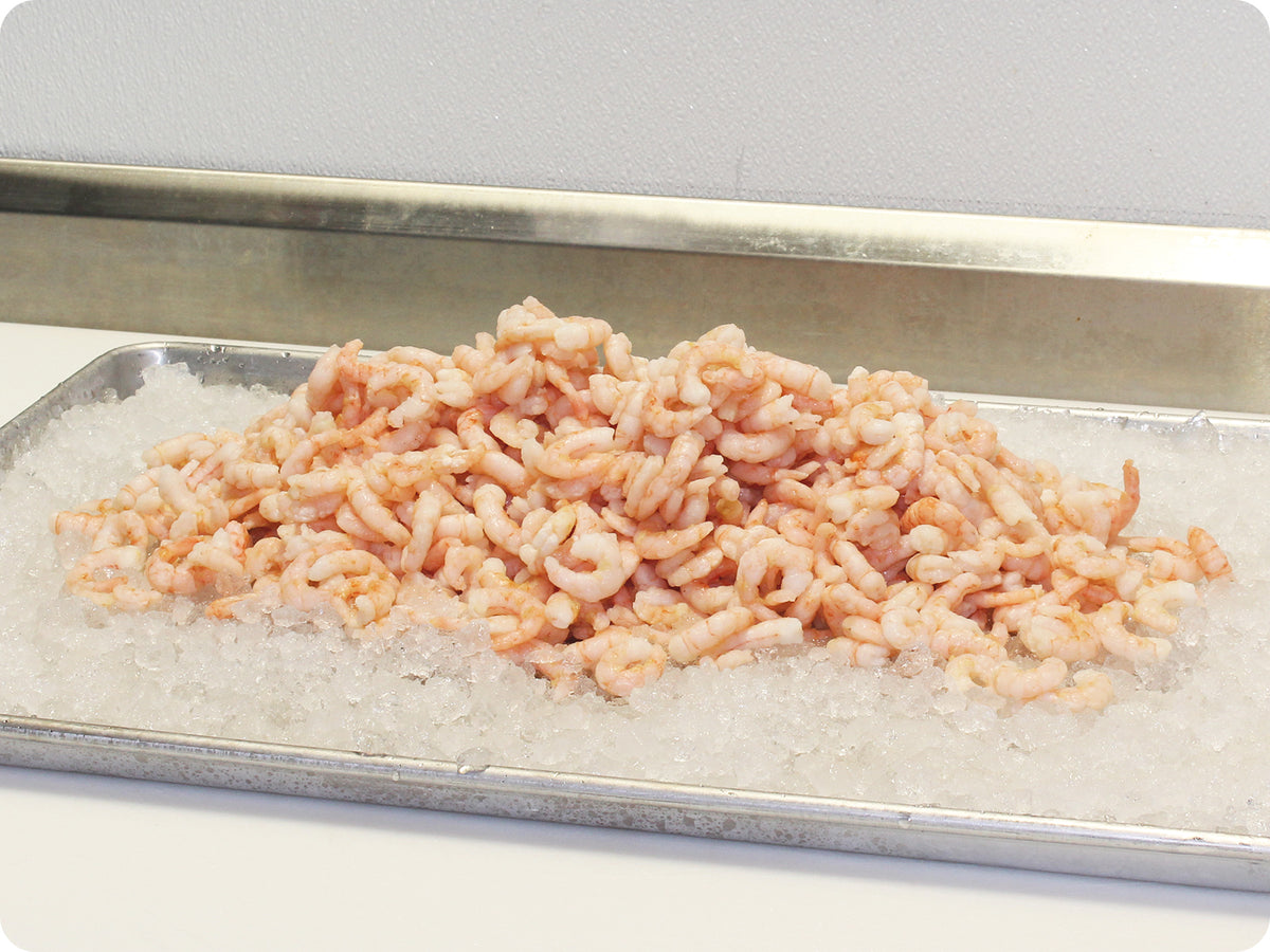 Cooked Northern Shrimp – Big Alaska Seafood
